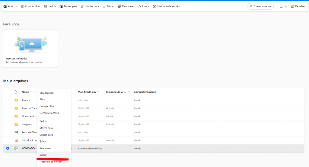 Conectando o Excel ao Power BI